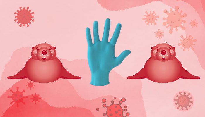 Creating an Infection Prevention Program: What You Need to Know