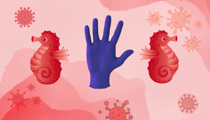 Creating an Infection Prevention Program: What You Need to Know