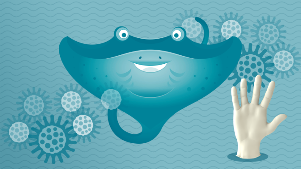 The Hidden Dangers of Surface Contamination